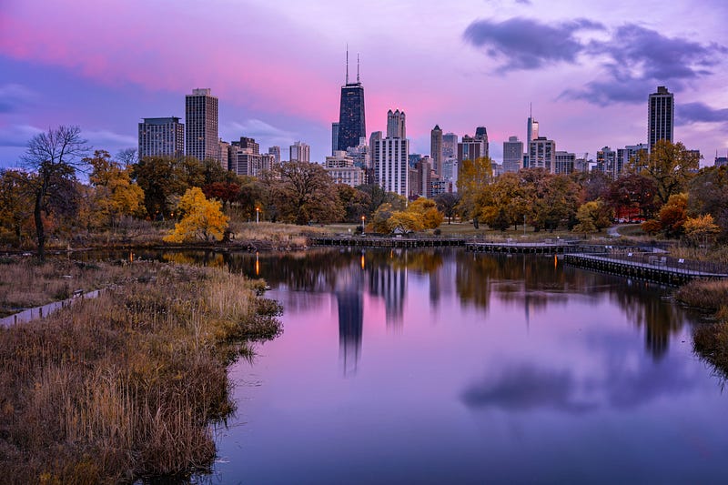 The 20 Best Chicago Neighborhoods for Young Professionals: Where to ...